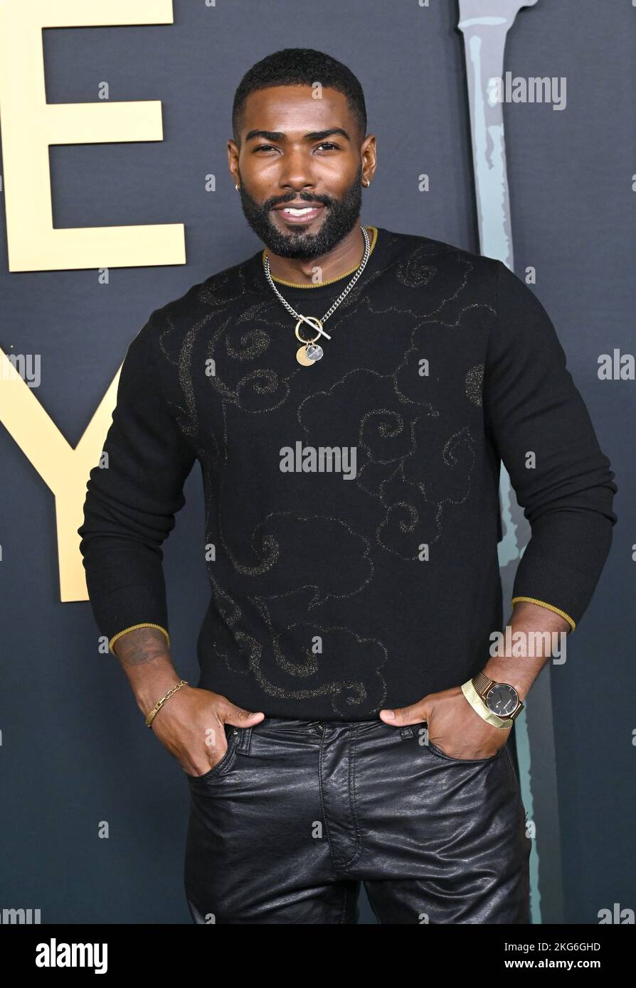 Los Angeles, USA. 21st Nov, 2022. Donny Savage at the premiere for ...