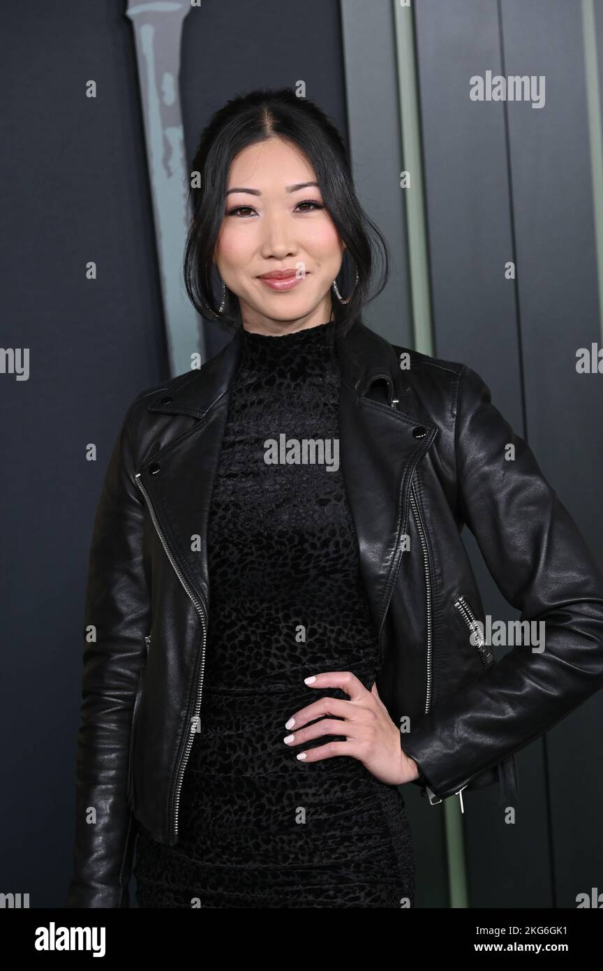 Los Angeles, USA. 21st Nov, 2022. Shannon Dang at the premiere for ...