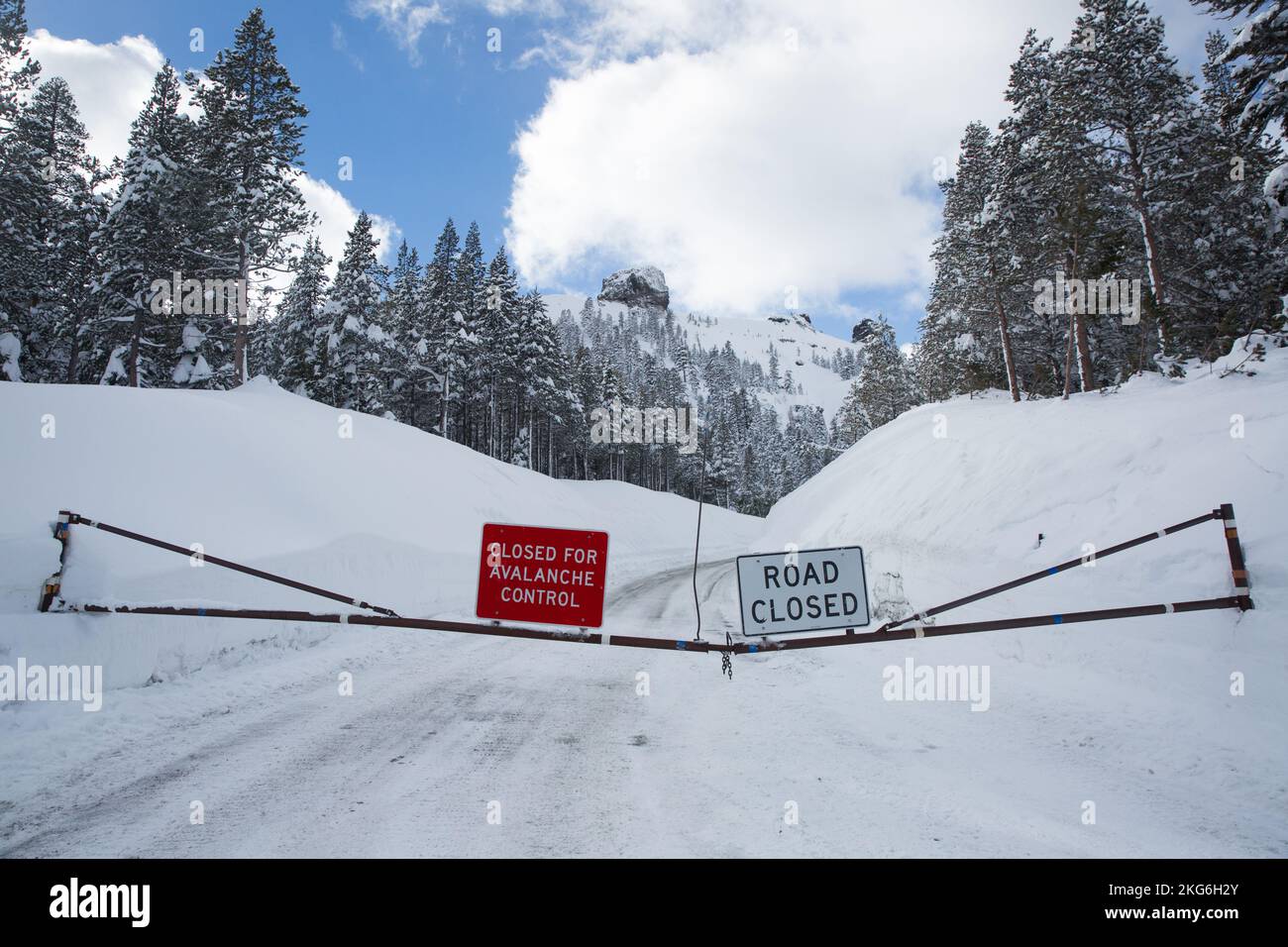 Avalanche warning no stopping sign in Sierra Nevada mountains with a view of the road ahead ...