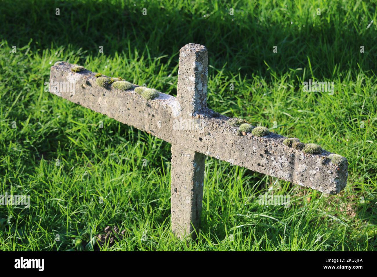 Heron cross hi-res stock photography and images - Alamy
