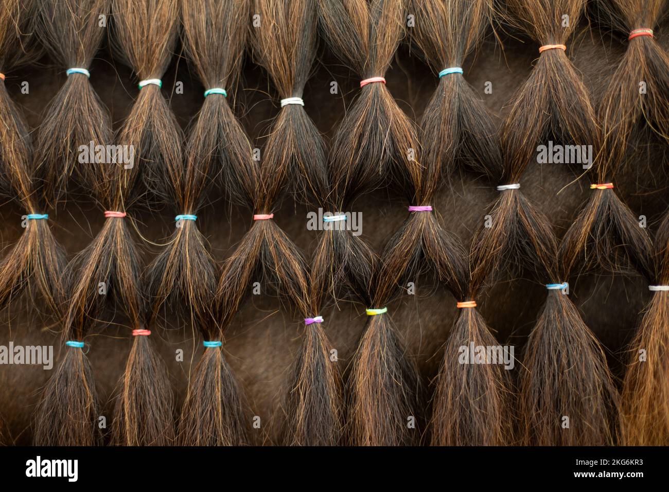 Horse hair. Hair pattern. Horse mane. Small elastic bands for hairstyle ...