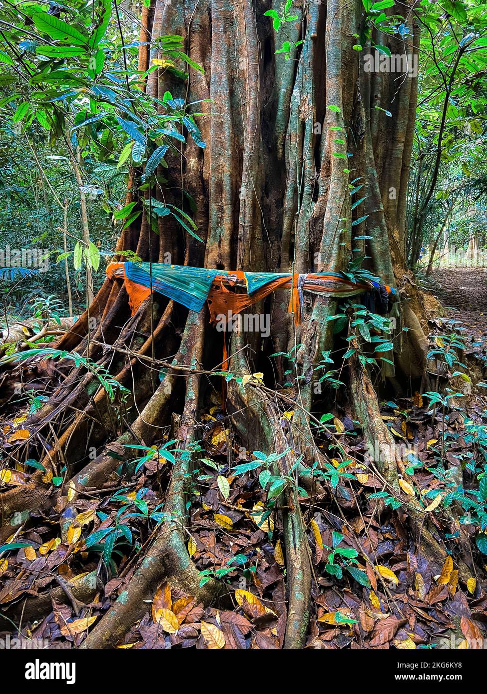 Aerial view of Wat Tham Suea or Tiger Cave Temple in Krabi, Thailand ...