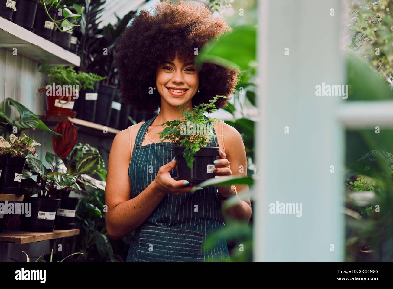 Startup plants hi-res stock photography and images - Alamy