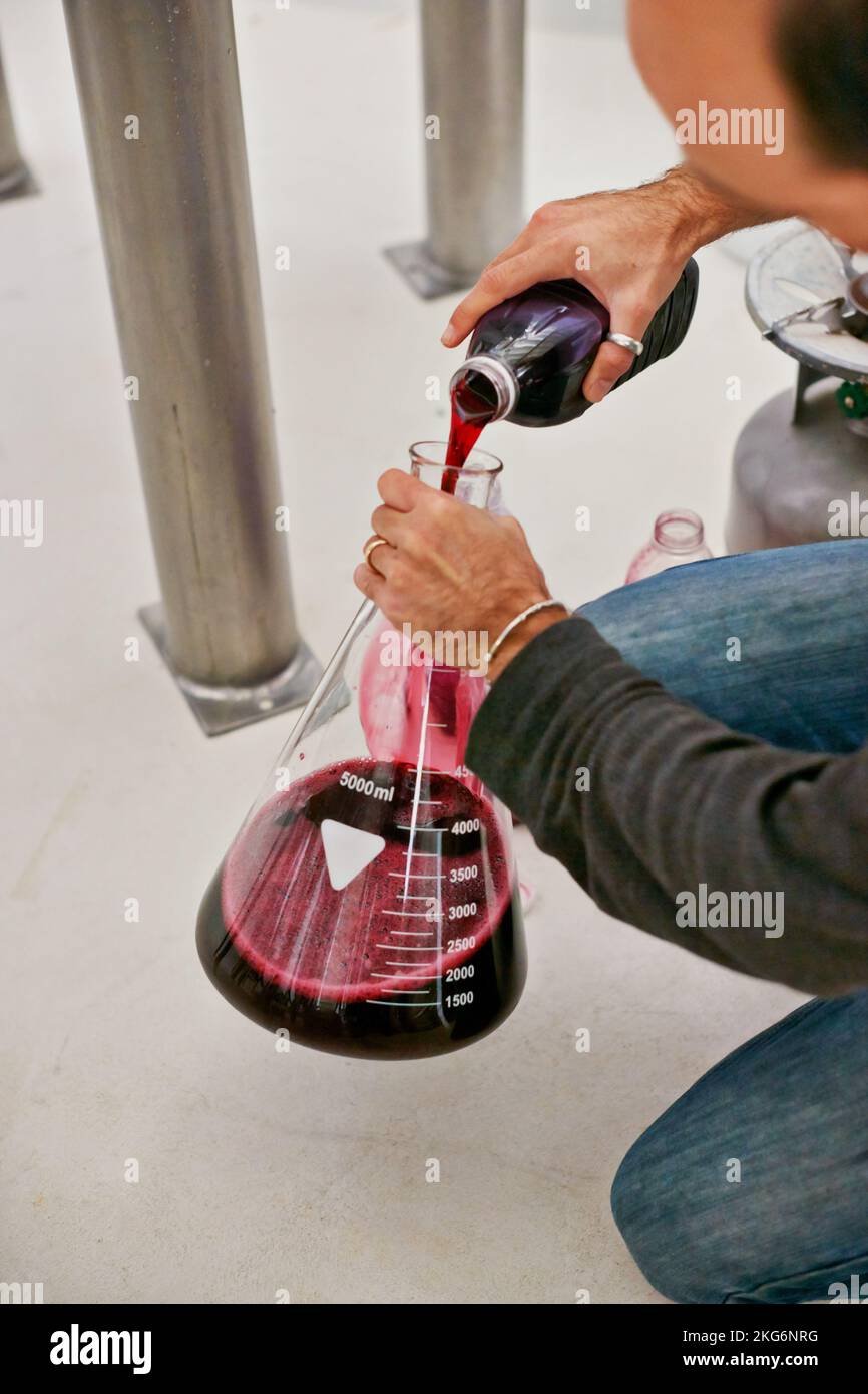 Brewing up a lager potion. a man pouring fluid into a beaker Stock ...