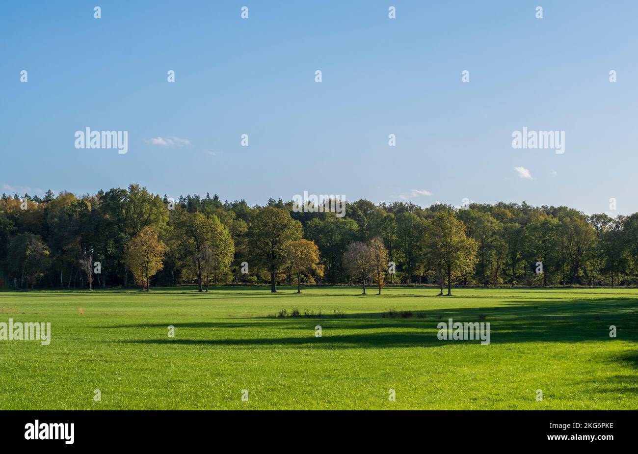 parks and woodlands in Europe. Panoramic nature images and backgrounds ...