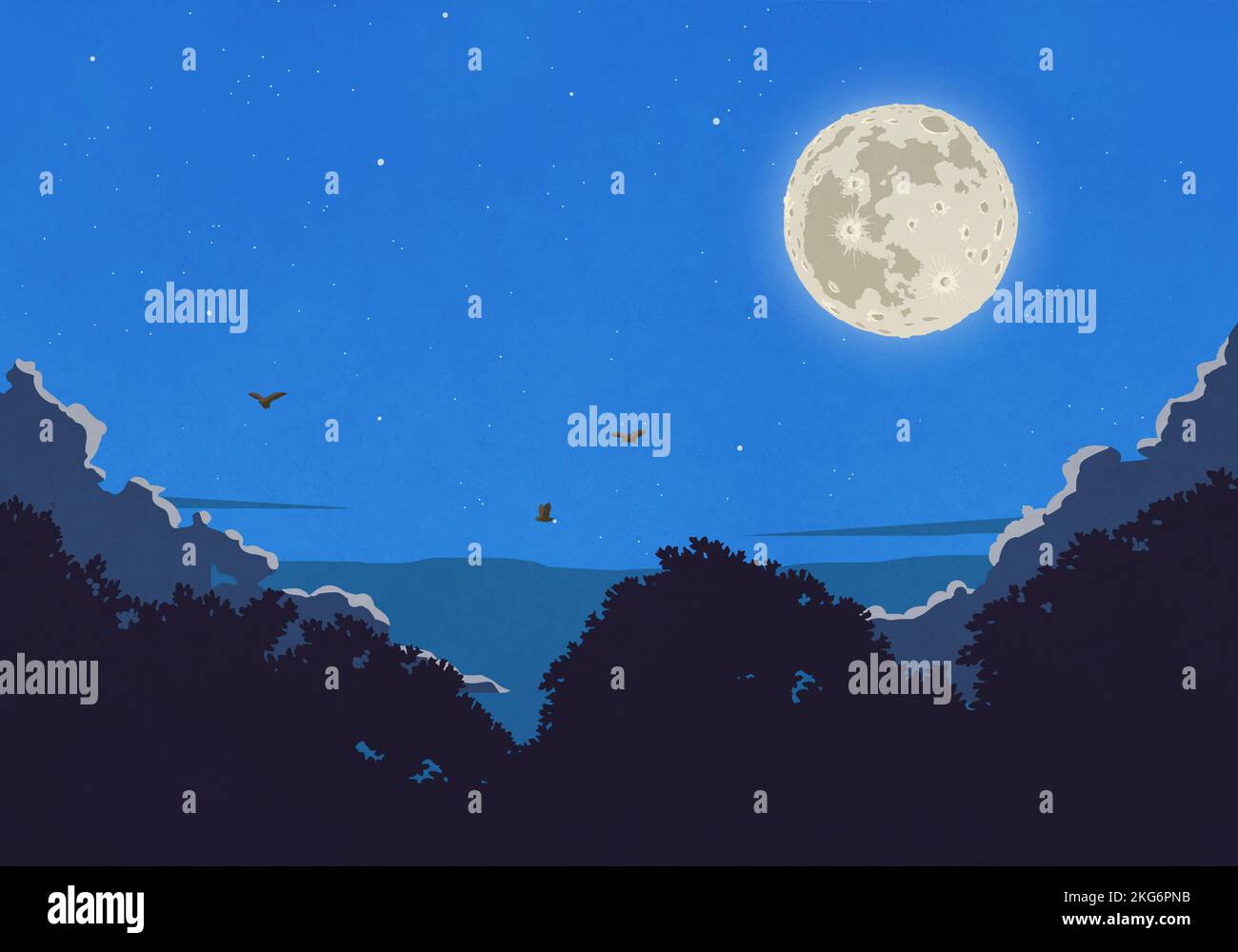 Birds flying in night sky with bright, full moon Stock Photo - Alamy