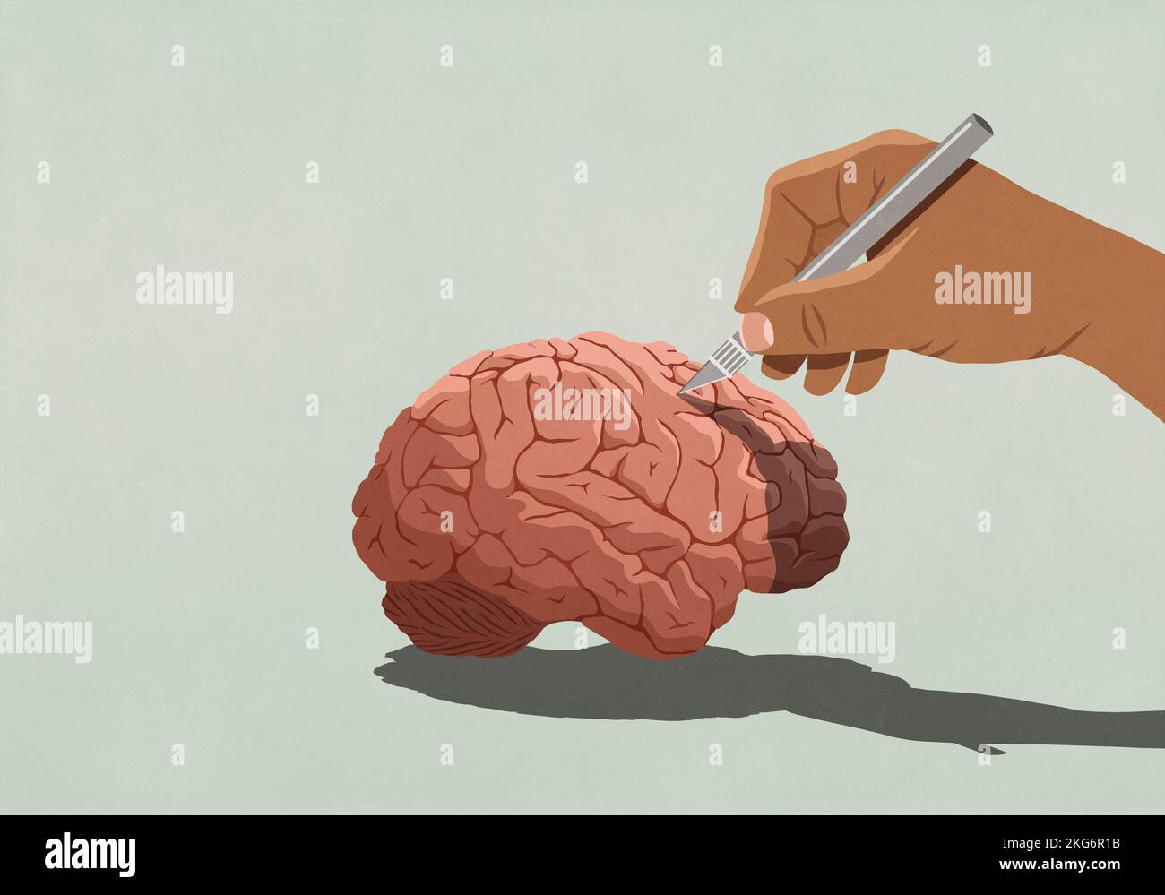Hand with surgical knife dissecting brain Stock Photo - Alamy