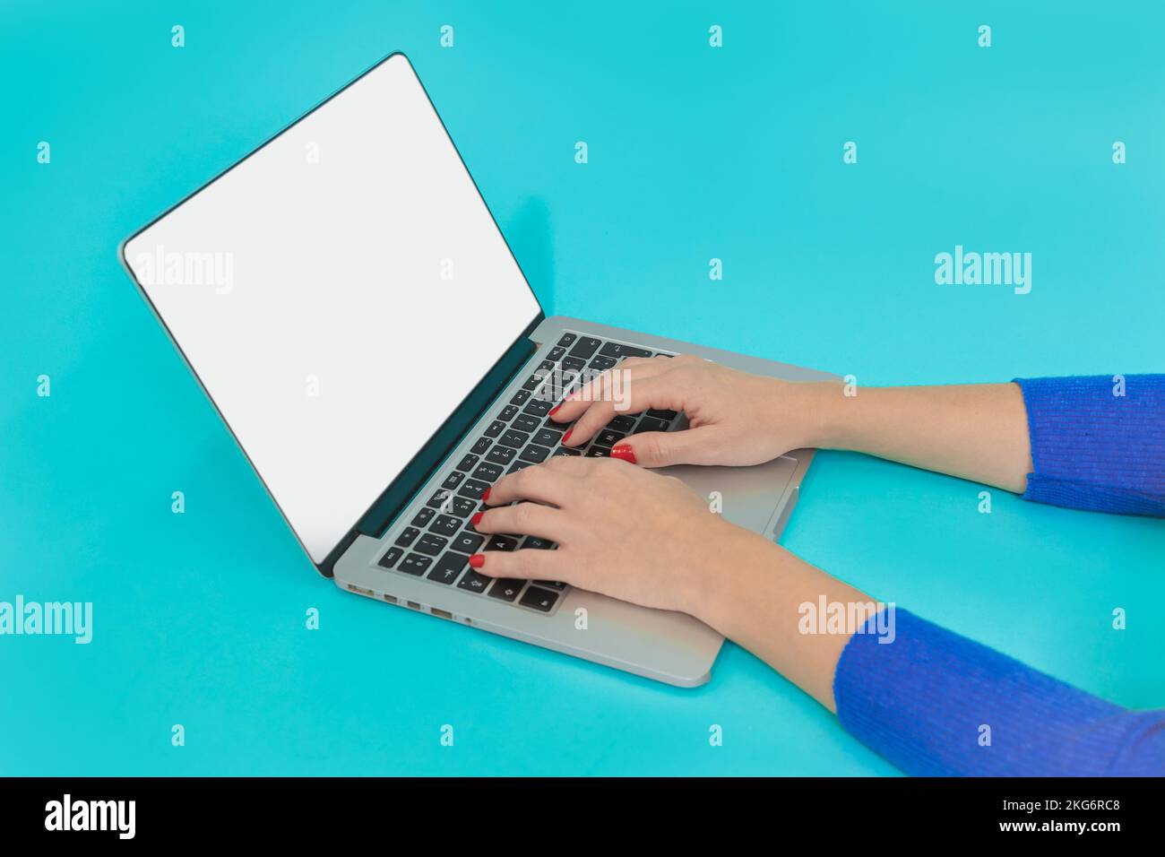 Woman hands using laptop with blank display on blue background. Modern ...