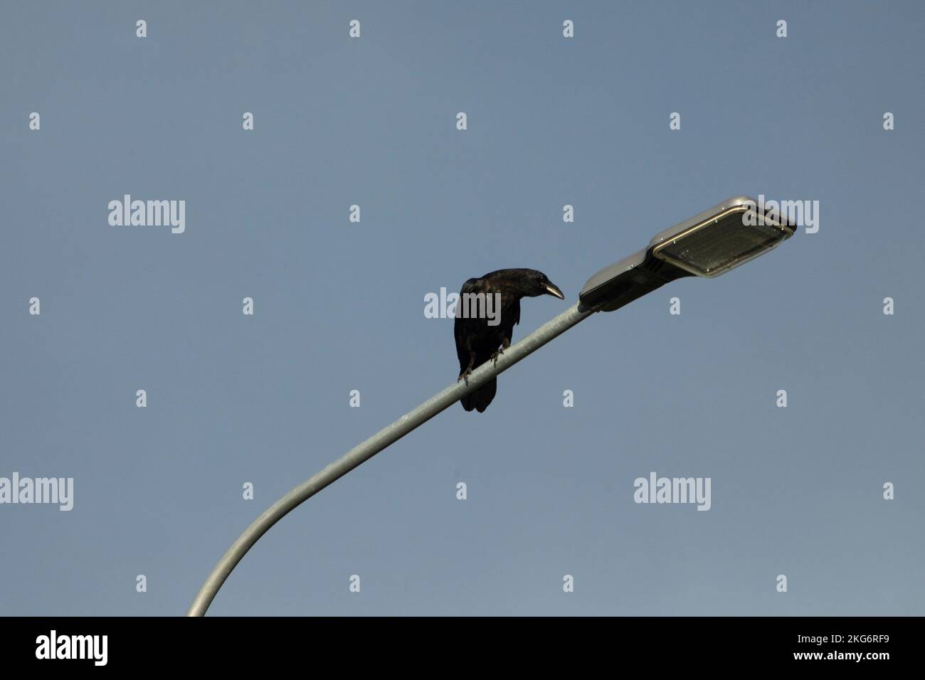 Old raven street hi-res stock photography and images - Alamy