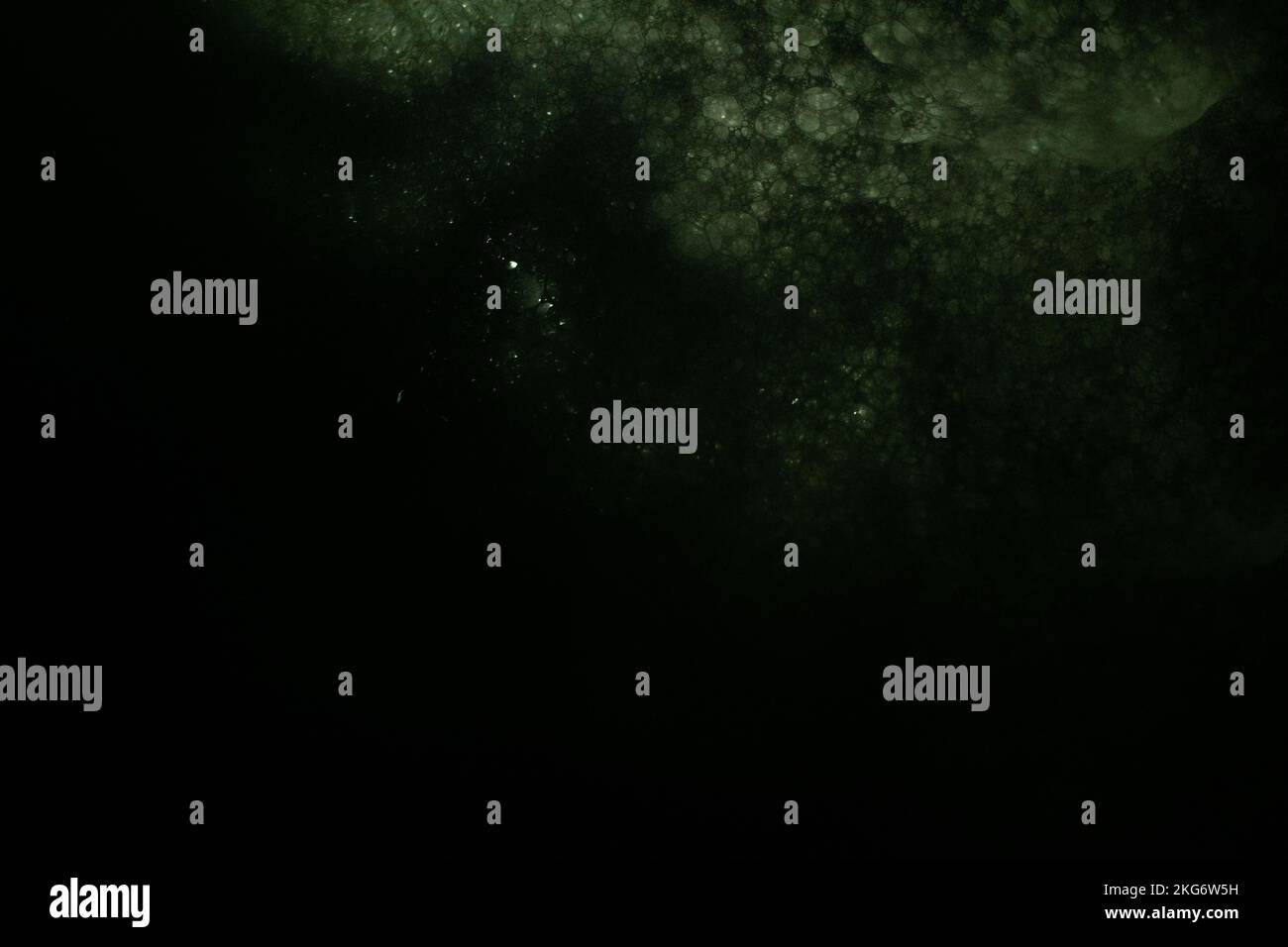 A closeup of green wet texture Stock Photo - Alamy