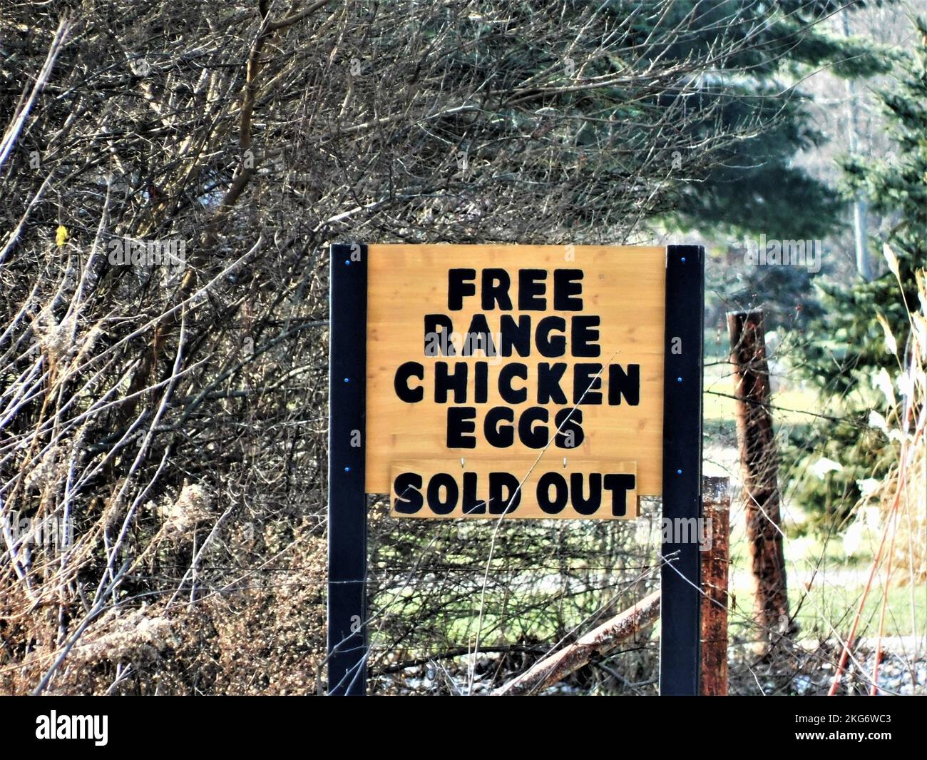 A wooden sign saying free range chicken eggs sold out Stock Photo - Alamy
