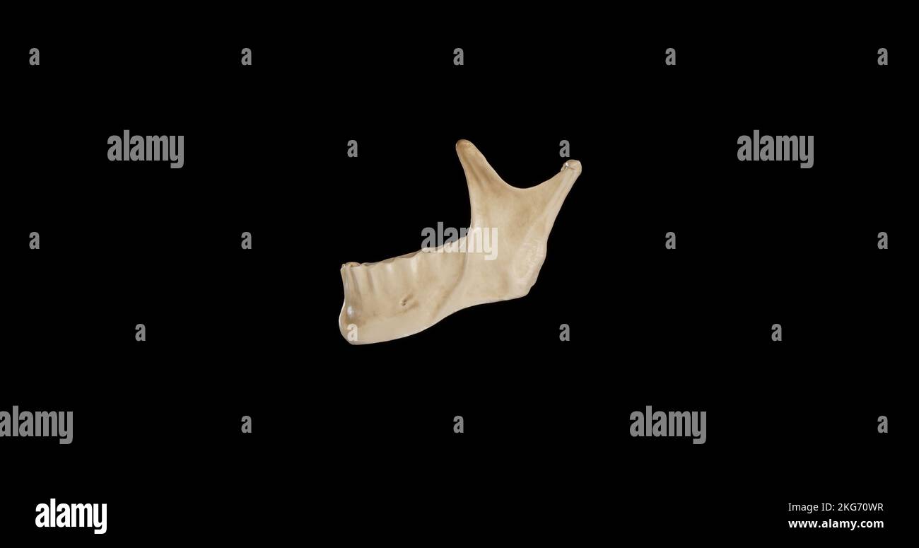 Temporomandibular joint hi-res stock photography and images - Alamy