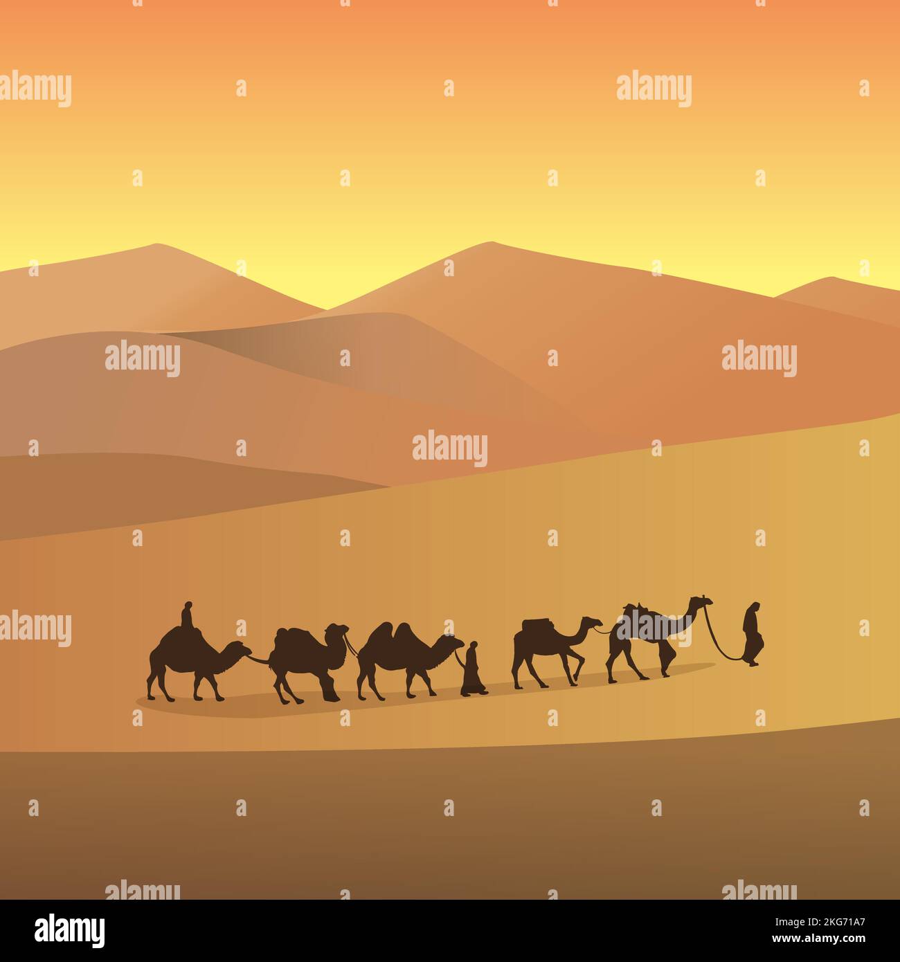 Man walking camels Stock Vector Images - Alamy