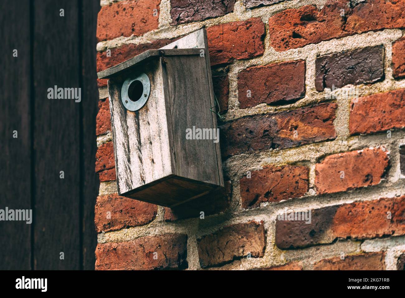 Old wooden nesting box bird house on the wall, selective focus Stock ...