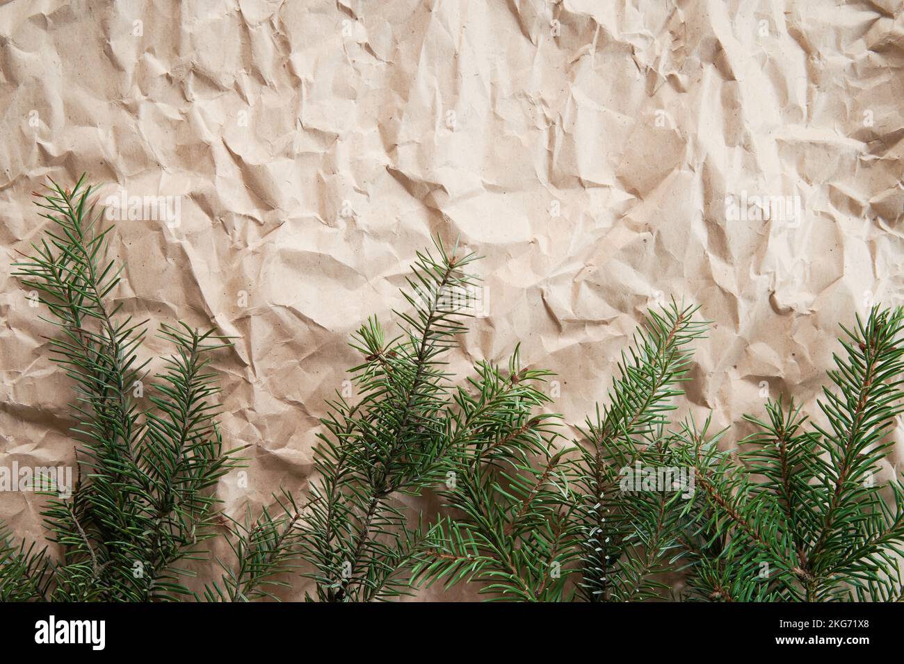 Christmas tree branches on the background of eco-friendly crumpled ...
