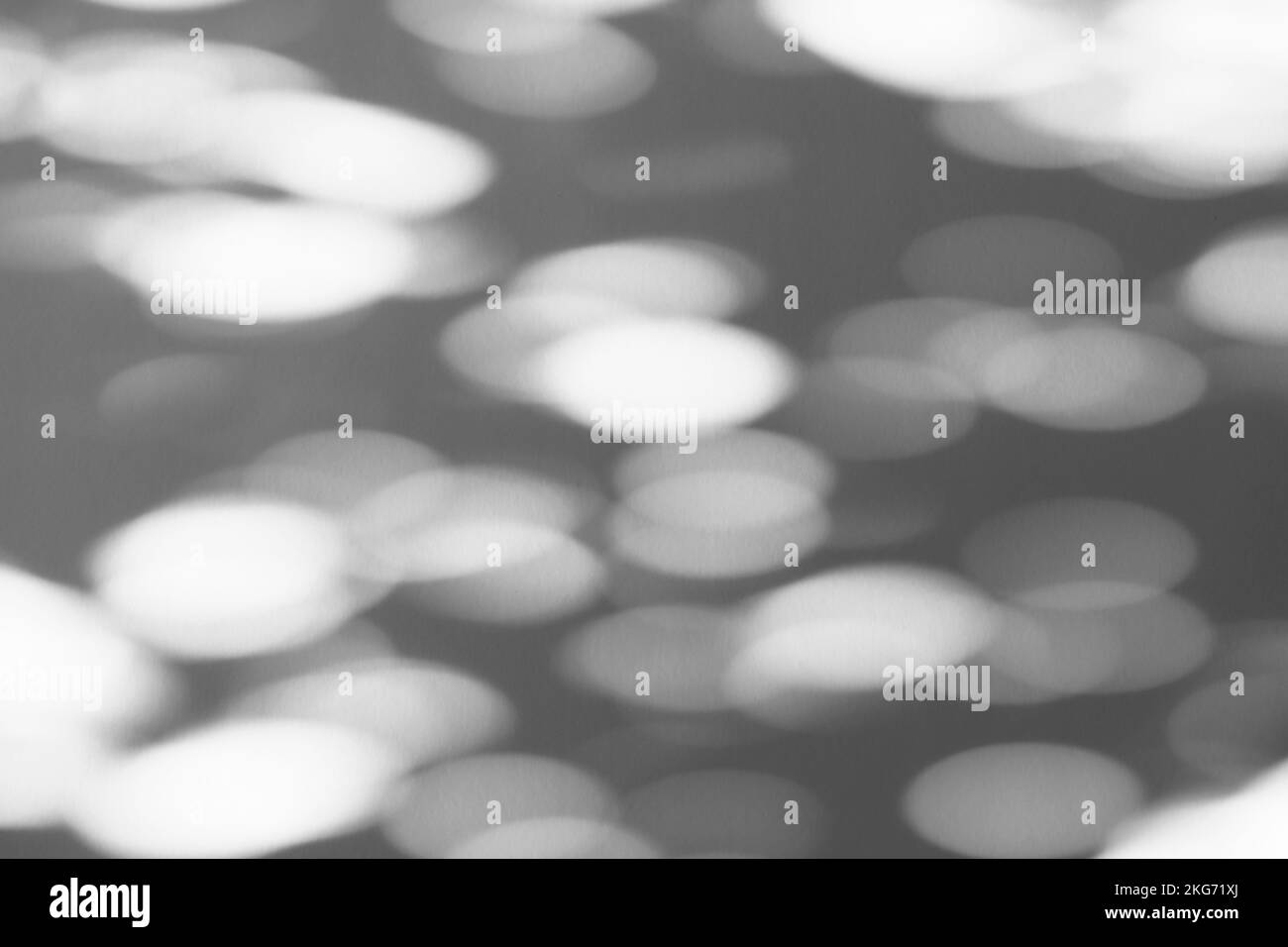 Shadow overlay effect for photo. Shadows from tree leaves and tropical ...