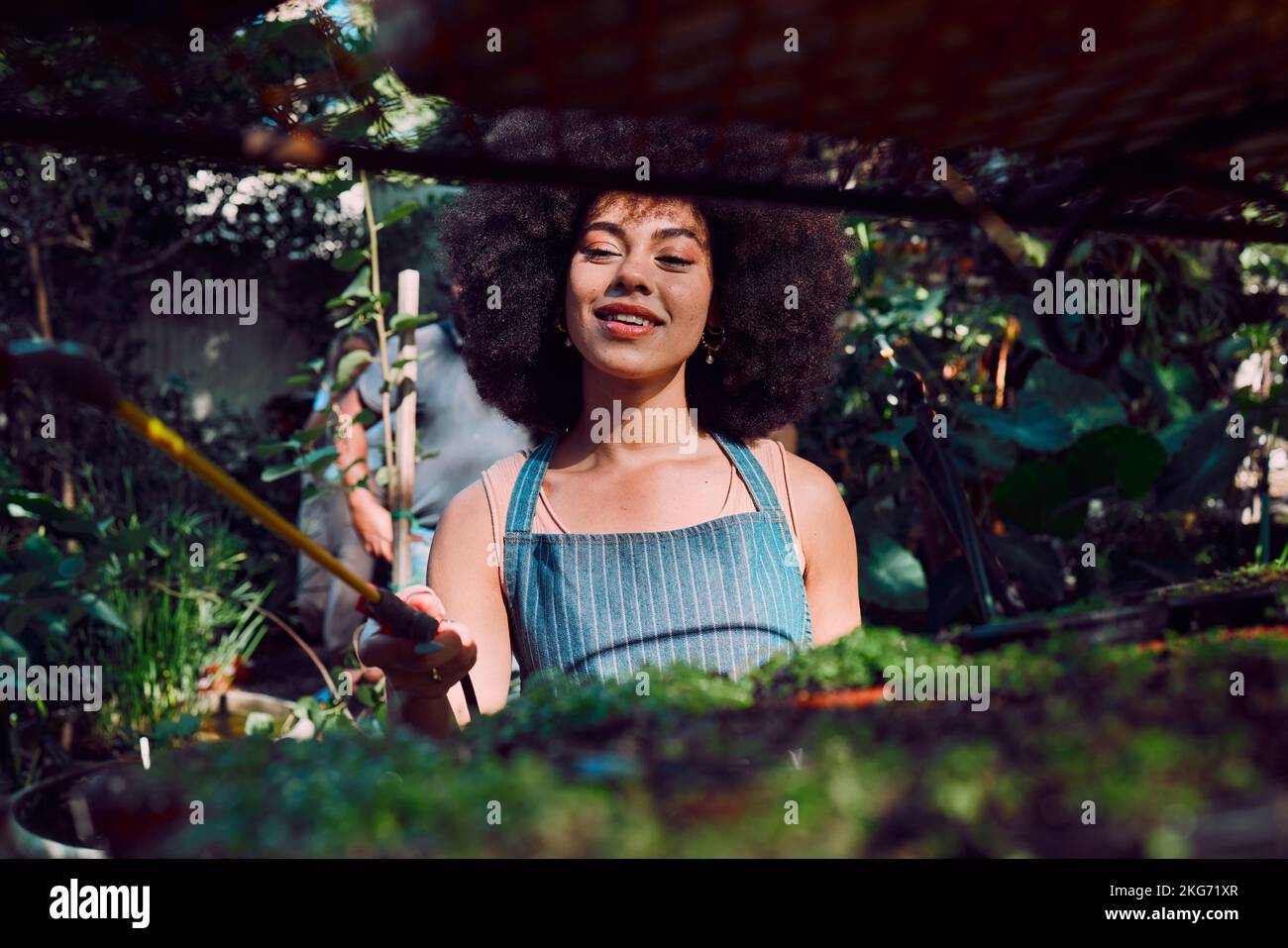 Water plants, gardening and black woman with green shop, store or small ...