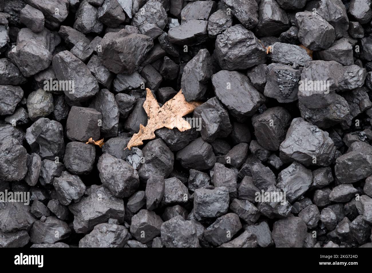 Gdynia port coal imported hi-res stock photography and images - Alamy