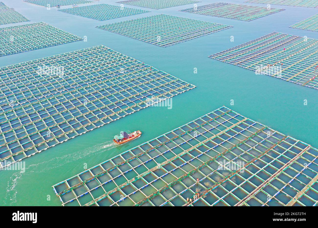 Aerial photos show the workers are busy with mariculture in the cage ...