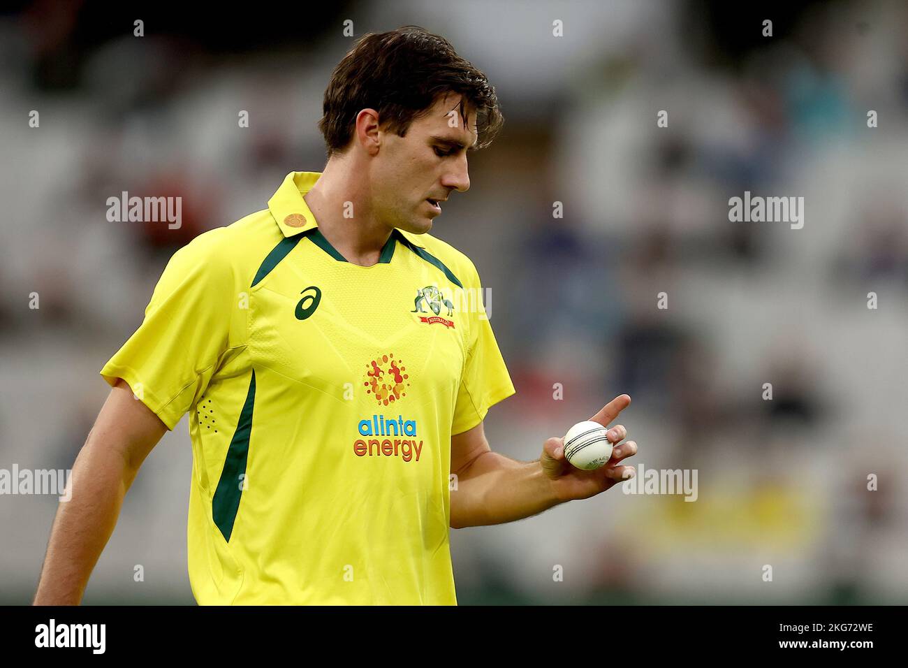 Patrick cummins australia hi-res stock photography and images - Alamy