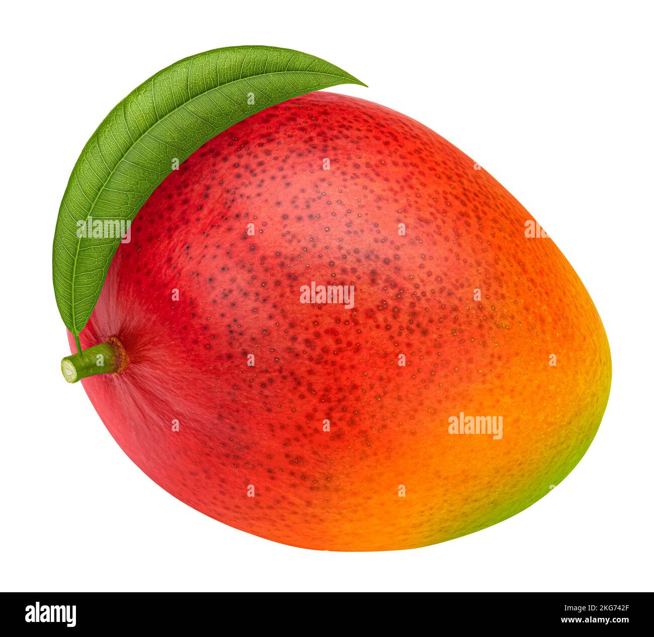 One whole mango fruit isolated on white background Stock Photo - Alamy