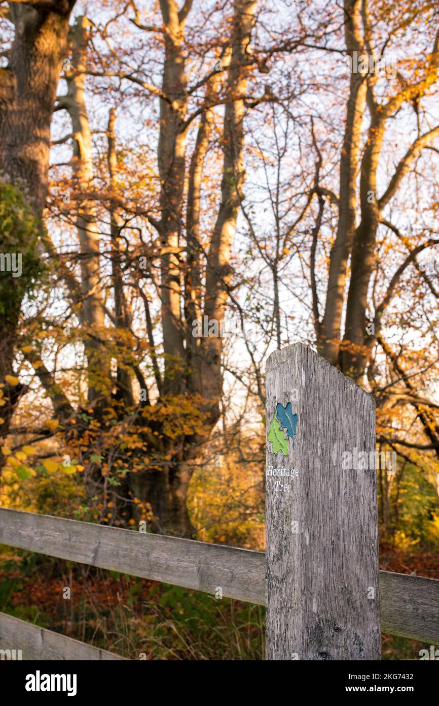 English heritage countryside hi-res stock photography and images - Alamy