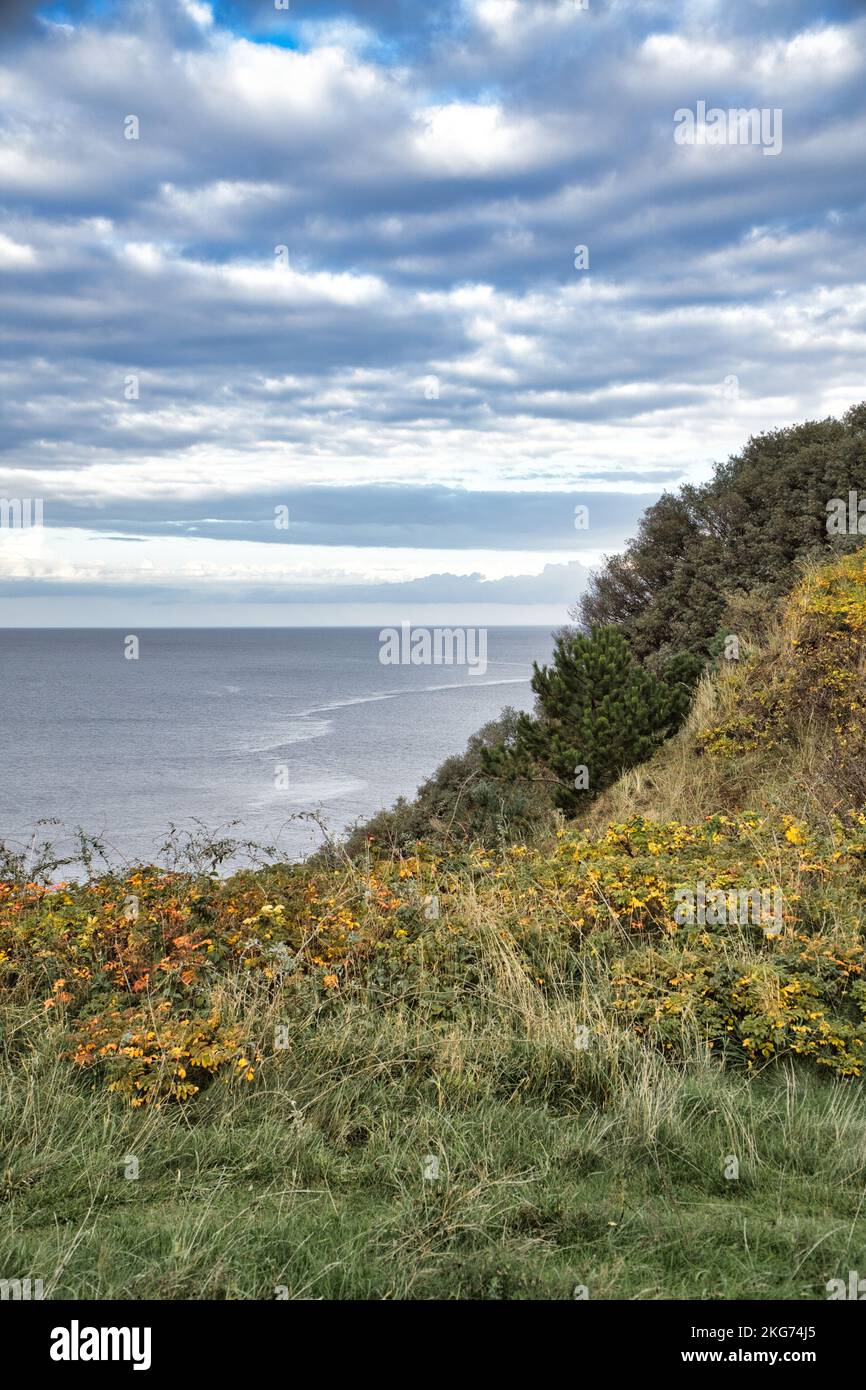 Hundested, Denmark on the cliff overlooking the sea. Baltic Sea coast ...