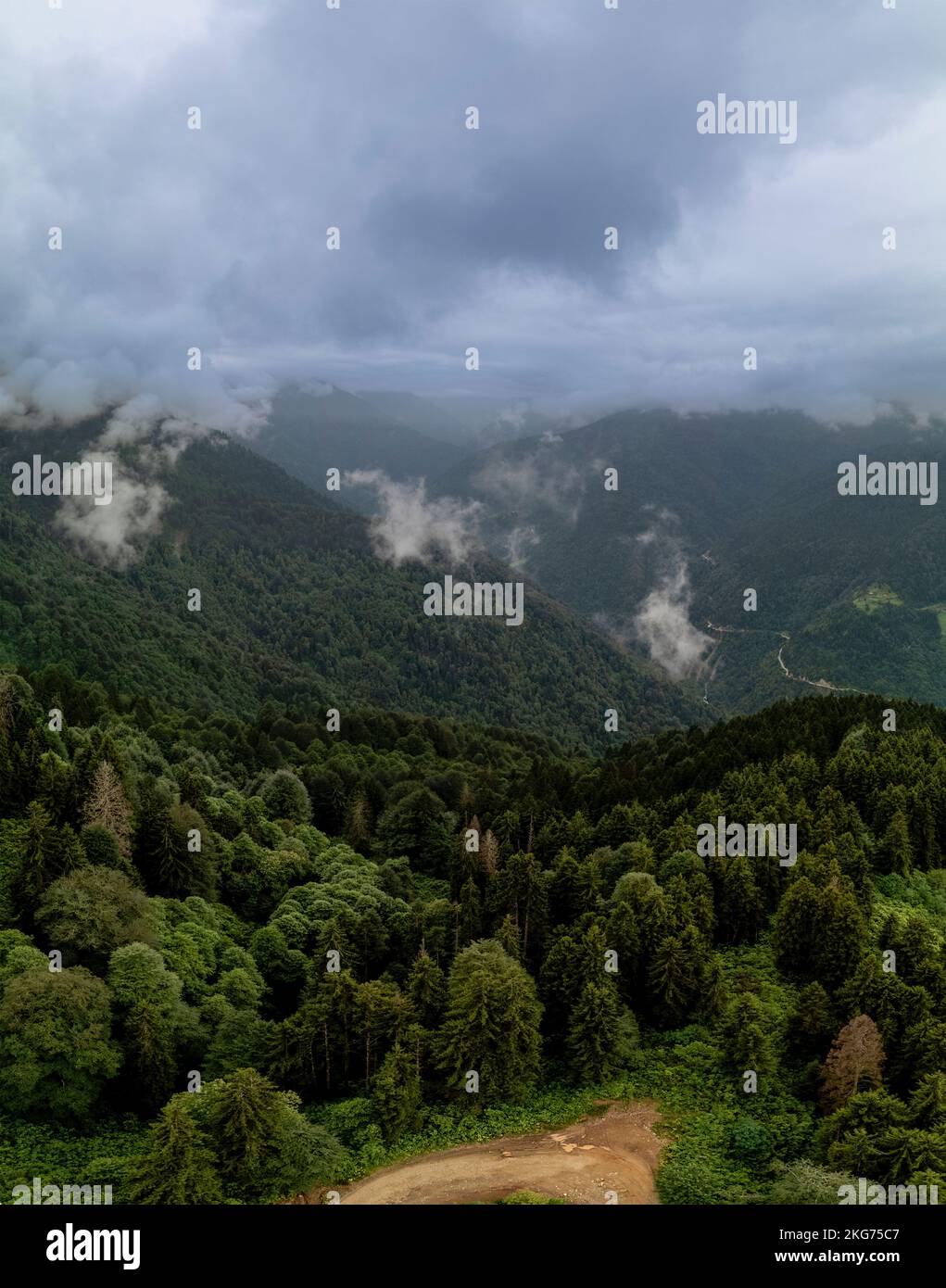 Foggy mountains and forests. Life in high mountains and plateaus ...