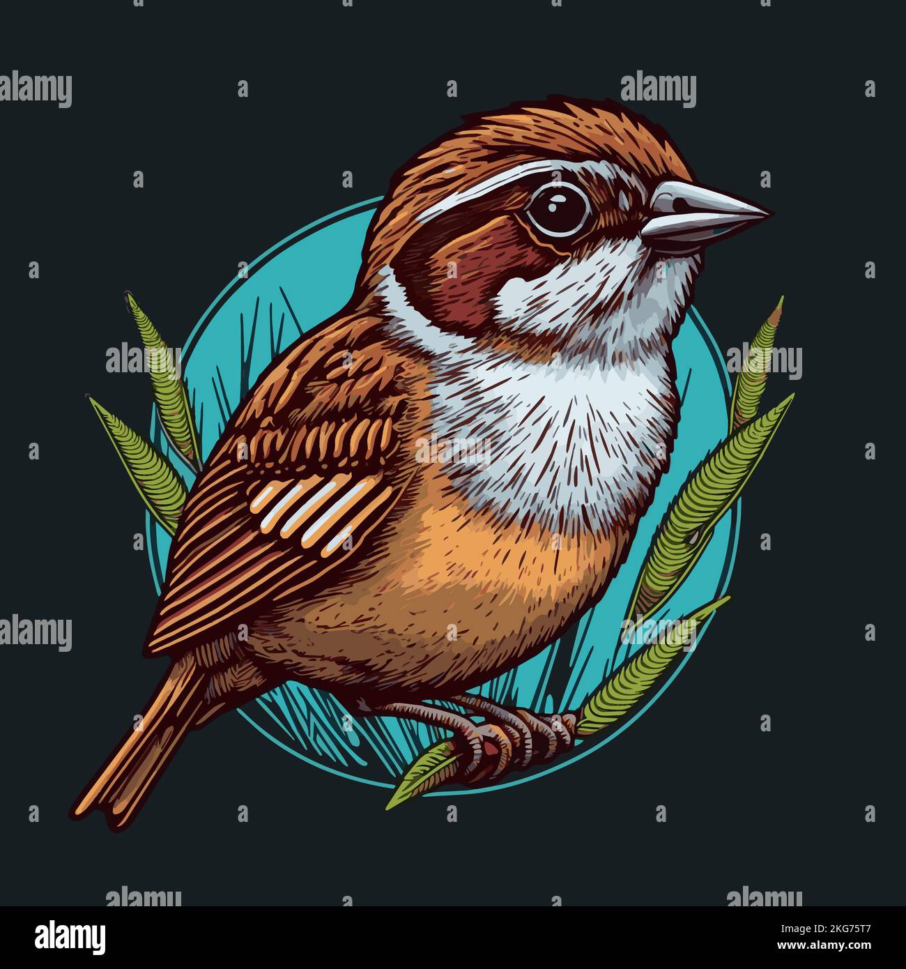Beautiful house sparrow Stock Vector Images - Alamy