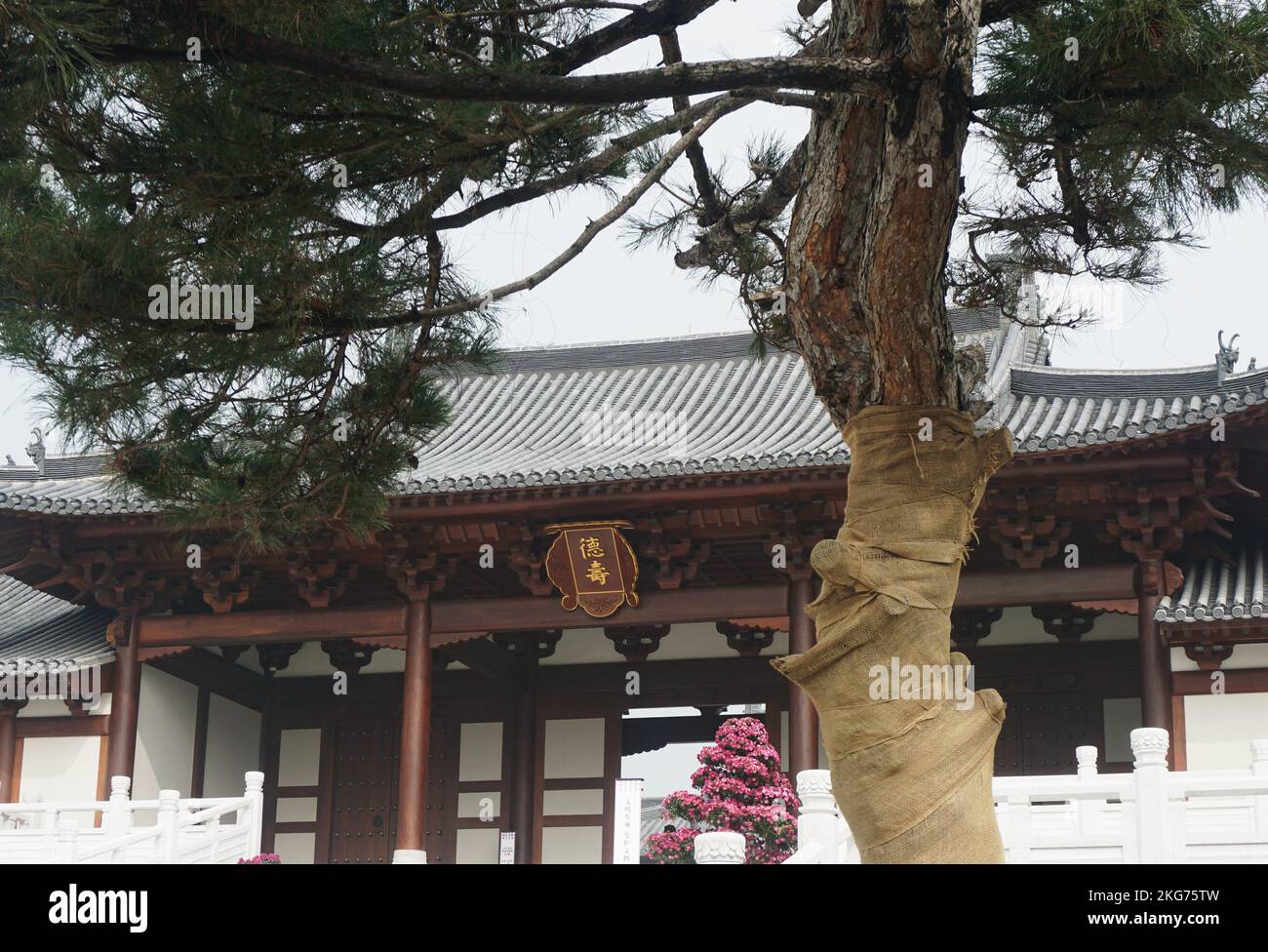 People are visiting the Deshou Palace of South Song Dynasty Site Museum ...