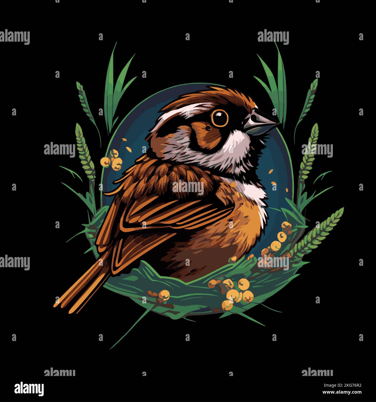 Sparrow wing spread Stock Vector Images - Alamy