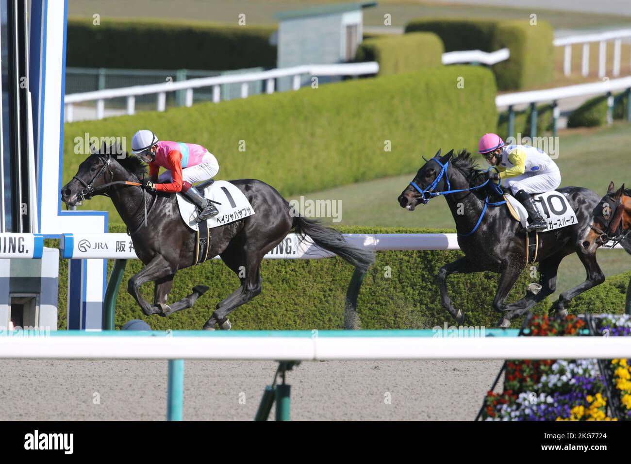 Hyogo, Japan. 19th Nov, 2022. Peisha Hayabusa and Taiga Tsunoda win the ...