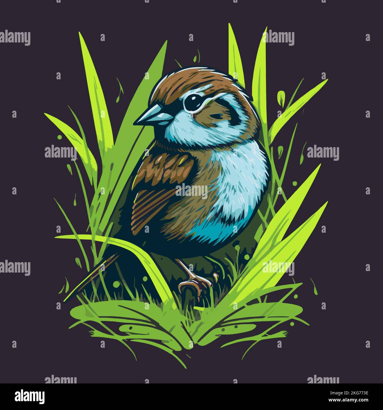 Sparrow wing spread Stock Vector Images - Alamy