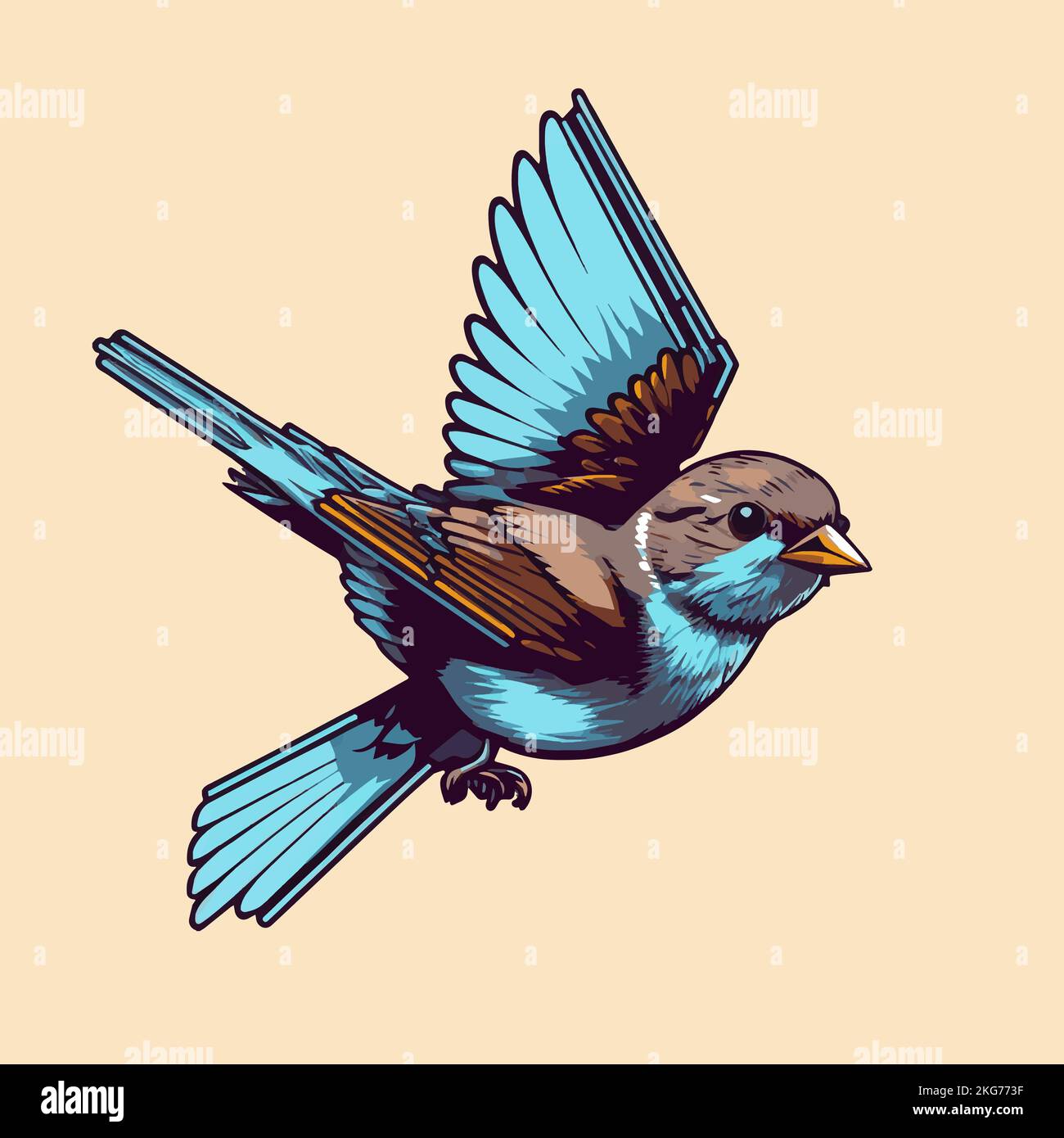 Sparrow wing spread hi-res stock photography and images - Alamy
