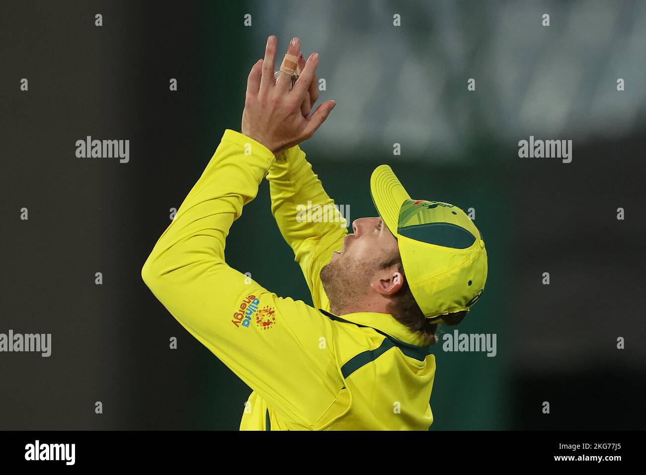 Patrick mackenzie hi-res stock photography and images - Alamy