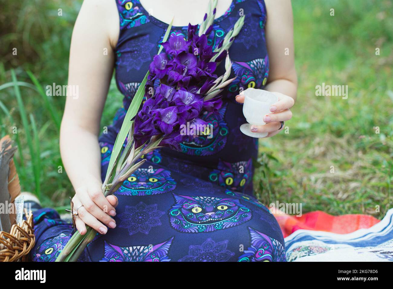 Close up blue gladiolus concept photo Stock Photo - Alamy
