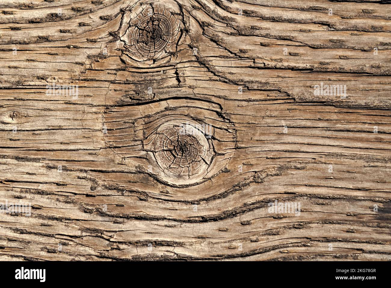 timber texture background with nobody, timbered background Stock Photo ...