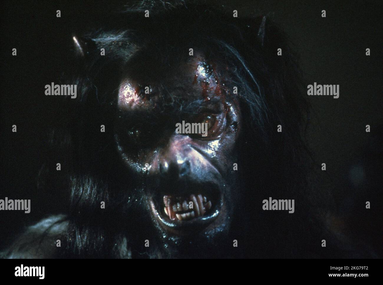 The Howling Year : 1981 USA Director : Joe Dante Robert Picardo Stock ...