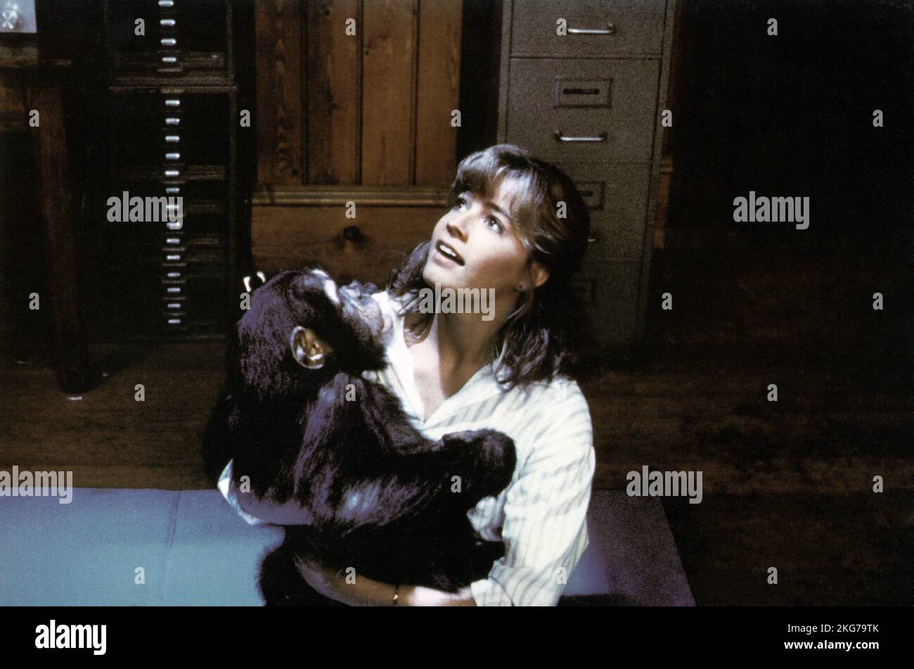 Link Year 1986 Uk Director Richard Franklin Elisabeth Shue Stock 9956