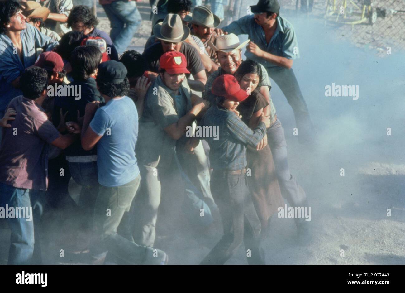 The Border Year : 1982 USA Director : Tony Richardson Elpidia Carrillo ...