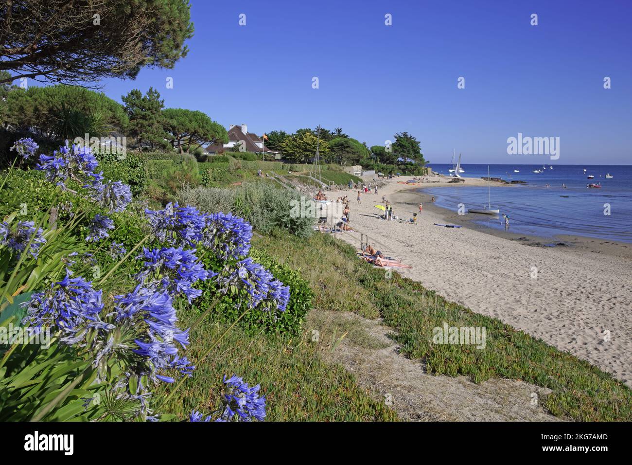 France, Manche. Jonville, Reville, the Saire estuary, fine sandy beach ...
