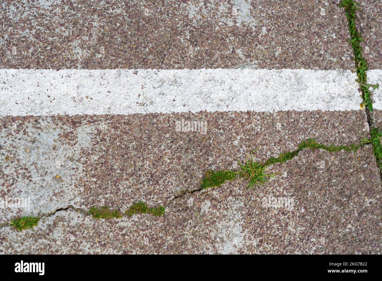France, Normandy region (Normandie), Calvados, Deauville, ground lines ...