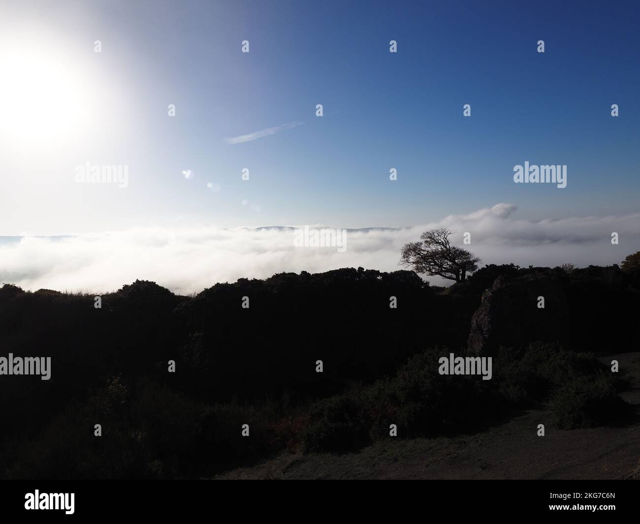 Roseberry Topping Tree Stock Photo - Alamy