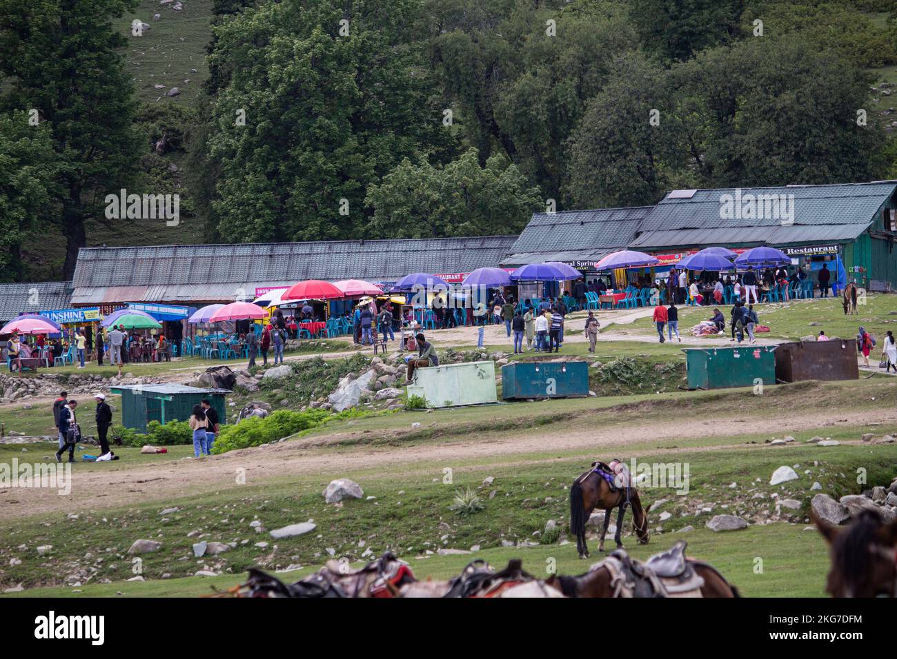 horse riding in kashmir Stock Photo - Alamy