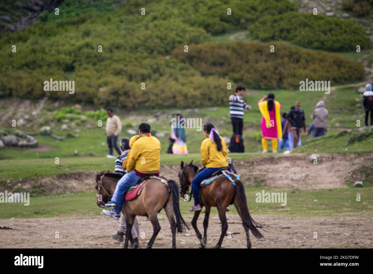 horse riding in kashmir Stock Photo - Alamy