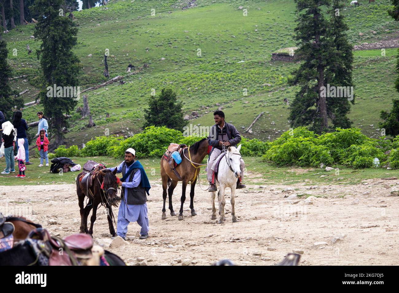 horse riding in kashmir Stock Photo - Alamy