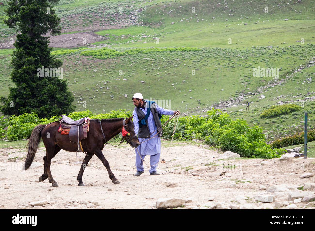 horse riding in kashmir Stock Photo - Alamy
