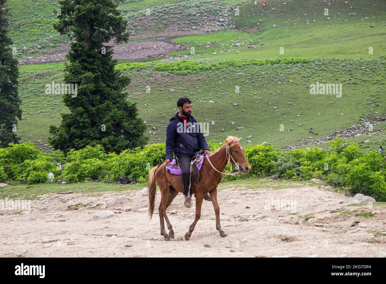 horse riding in kashmir Stock Photo - Alamy