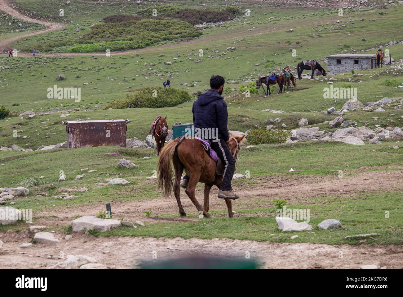 horse riding in kashmir Stock Photo - Alamy