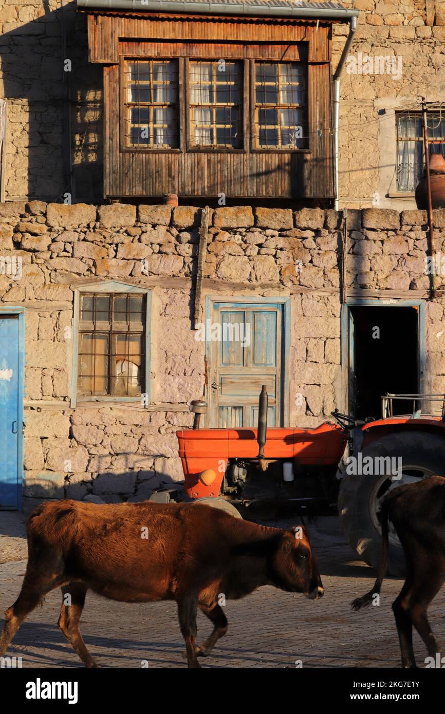 Old stone house still hi-res stock photography and images - Alamy